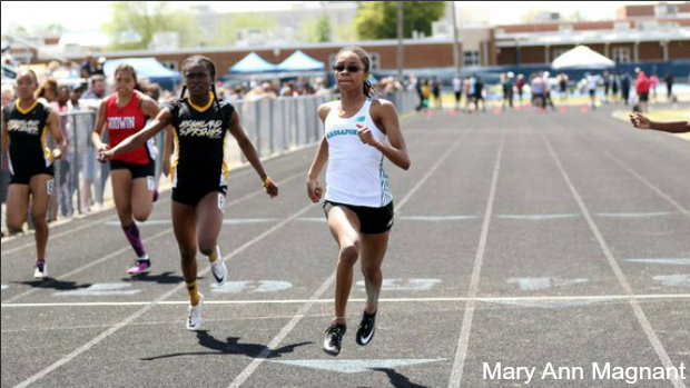 Virginia State Records By Grade