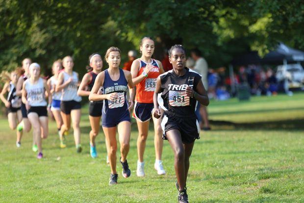 2022 IHSA Cross Country Regionals Central