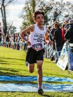 Joseph Condon - Stats