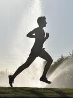 Johnny Joyce - Stats