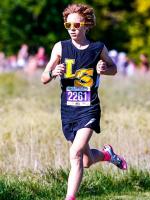 Andrew Snoke - Stats