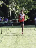 Corey Johnson - Stats