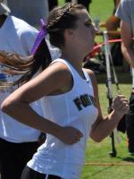 Collyn Davis - Stats