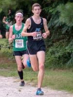 Ian Harrison - Stats