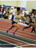 Amiya Johnson - Stats