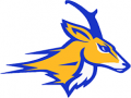 2026 Whiteface Antelope Relays 2026 - Meet Information